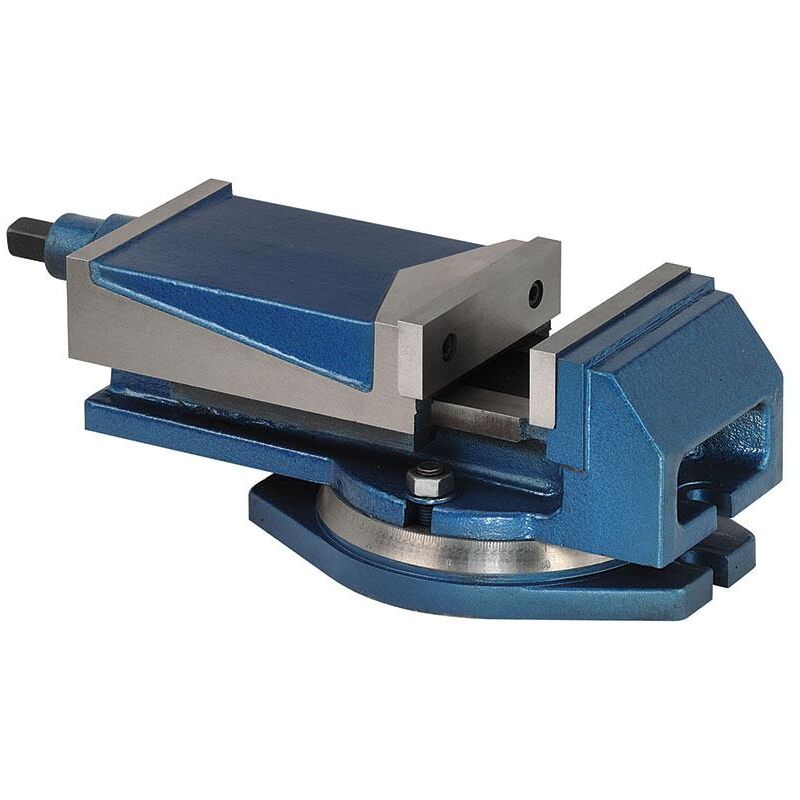 Etau rotatif pour machine-outil de 160 mm