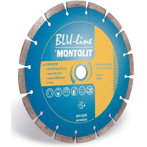 Disque Diamant 300 Mm