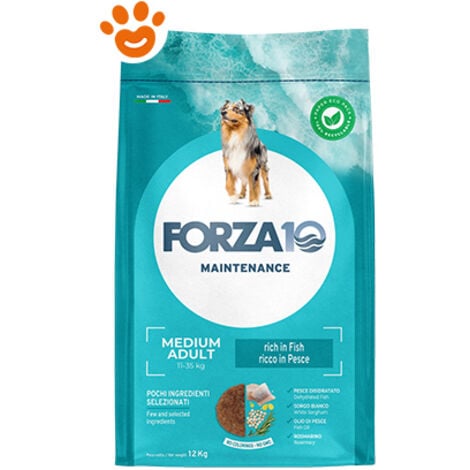 Forza 10 Cane Medium Adult Mantenimento 12 kg Pesce