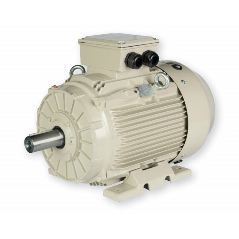 Moteur Electrique Triphase
