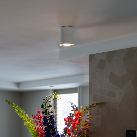 Modern Ceiling Spotlight White Rotatable and Tiltable AR70 - Rondoo Up