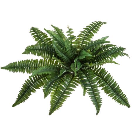 Foglie Artificiali Felce Boston Composta da 4 Gruppi e 36 Foglie H 52 cm