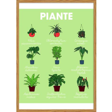 Decoposter Piante