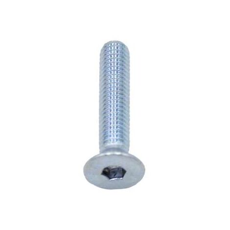 Viti Inox Cava Esagonale Testa Svasata Piana Mm.6X40