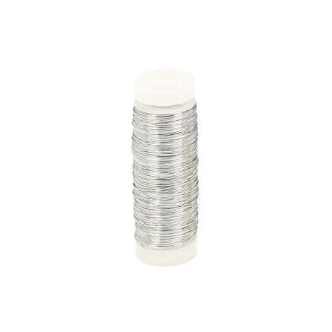 Bobina Filo Argento Diametro Mm.0,50 Gr.50