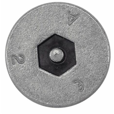 Vis Inviolable TFHC + Téton M3X8 Inox A2