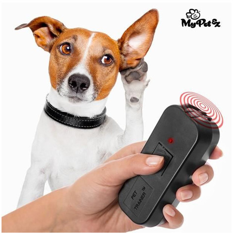 Dog training aids buying guide
