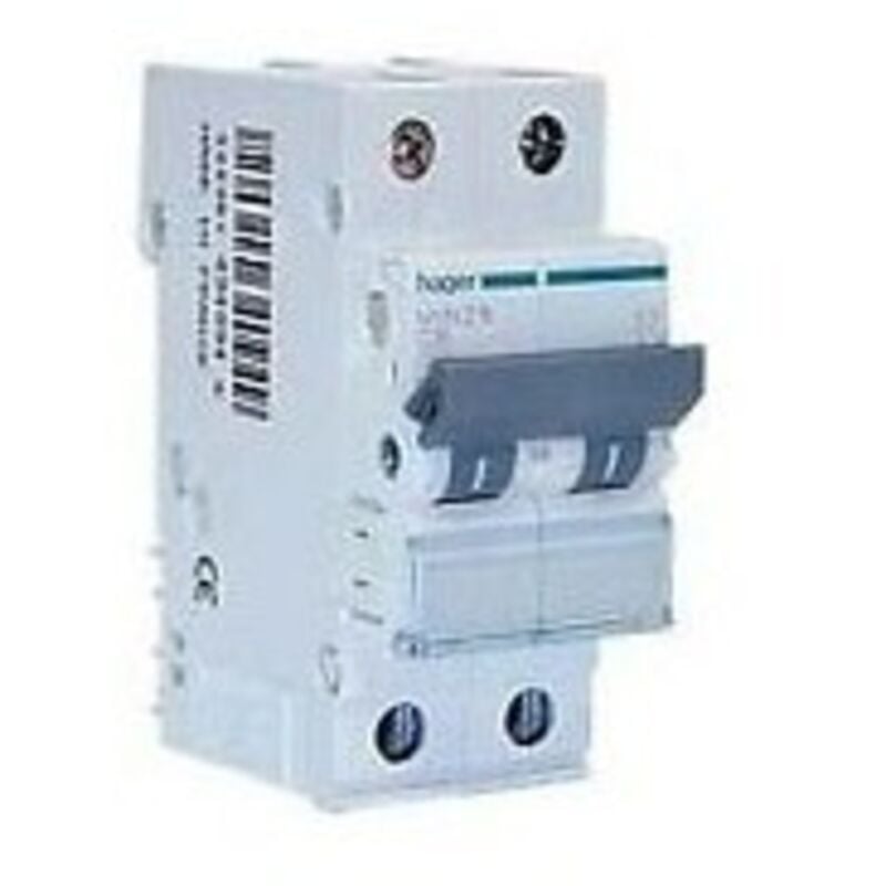 Interruttore Magnetotermico Schneider 2P 16A 4,5Ka C 2 Moduli A9f64216 ...
