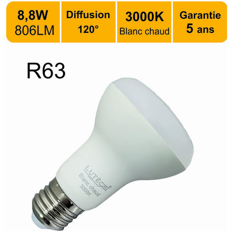 Ampoule LED E27