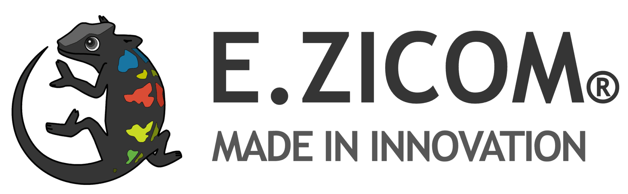 E Zicom