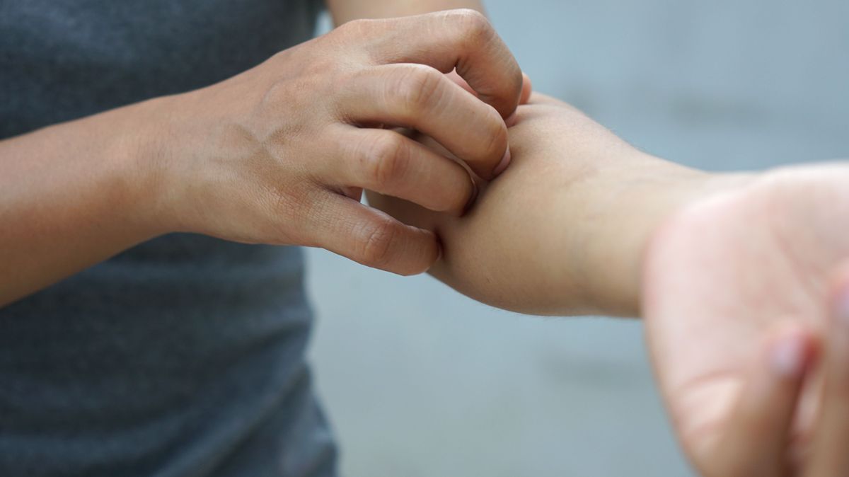 Comment se débarrasser des puces à la maison