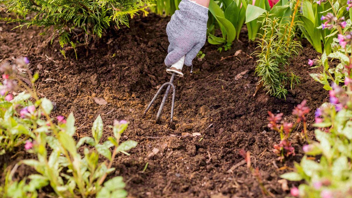 How to prepare your garden for spring