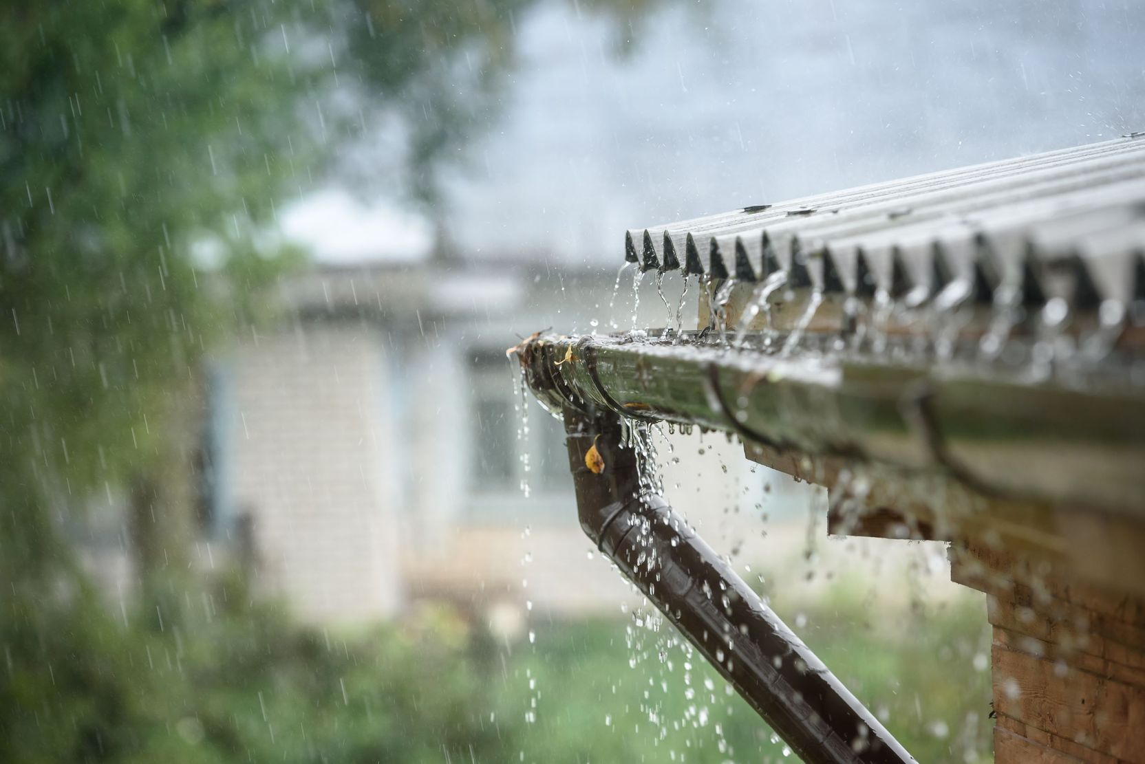 Come recuperare l'acqua piovana