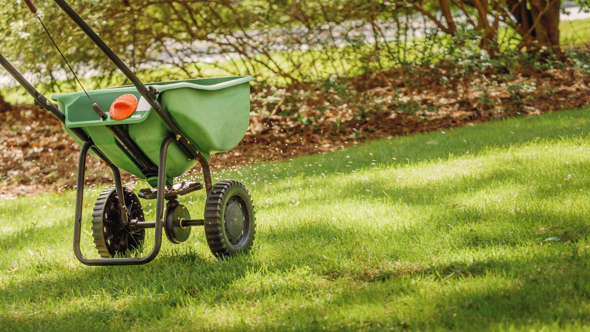 Quand semer la pelouse et quand planter le gazon