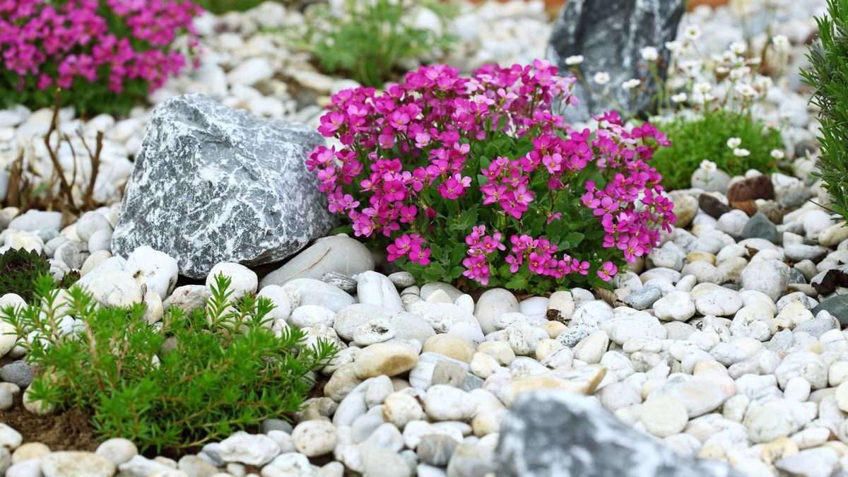Comment réaliser une rocaille