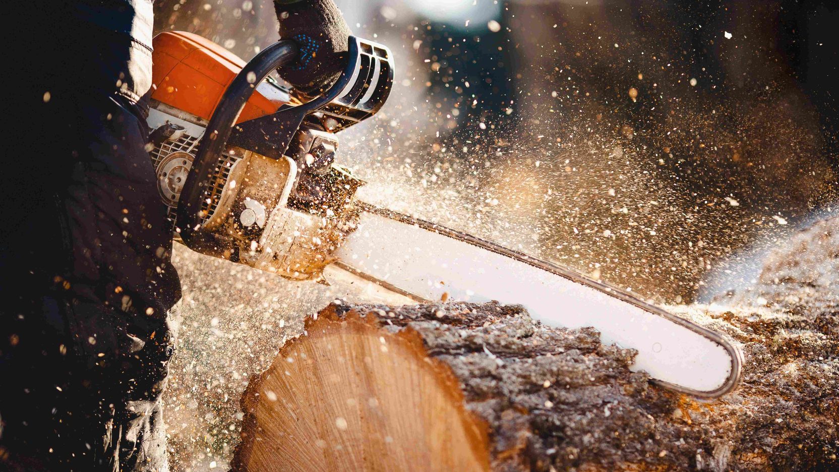 Chainsaw buying guide