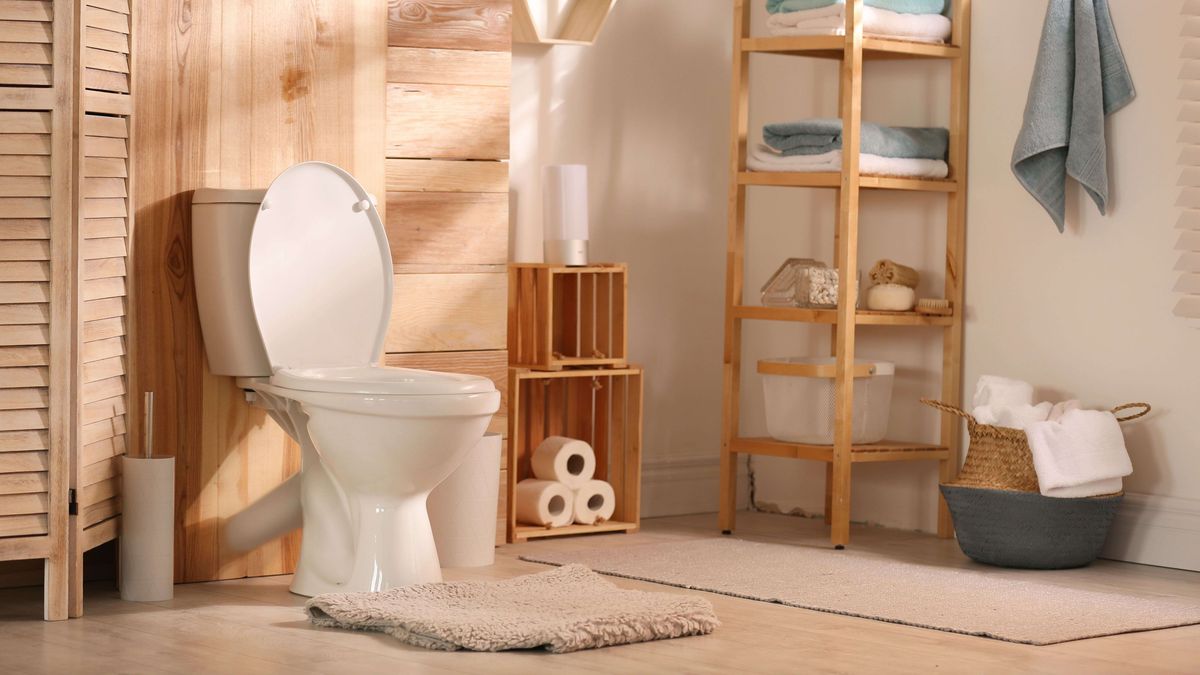 Toilet accessories buying guide
