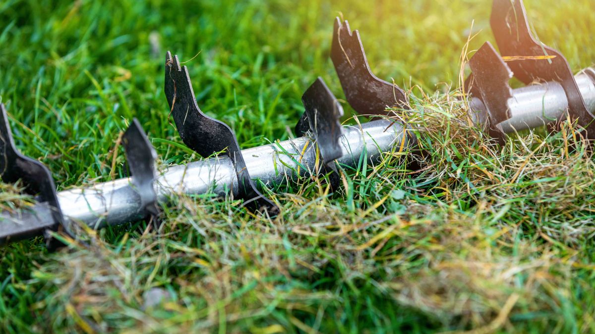 How to scarify a lawn