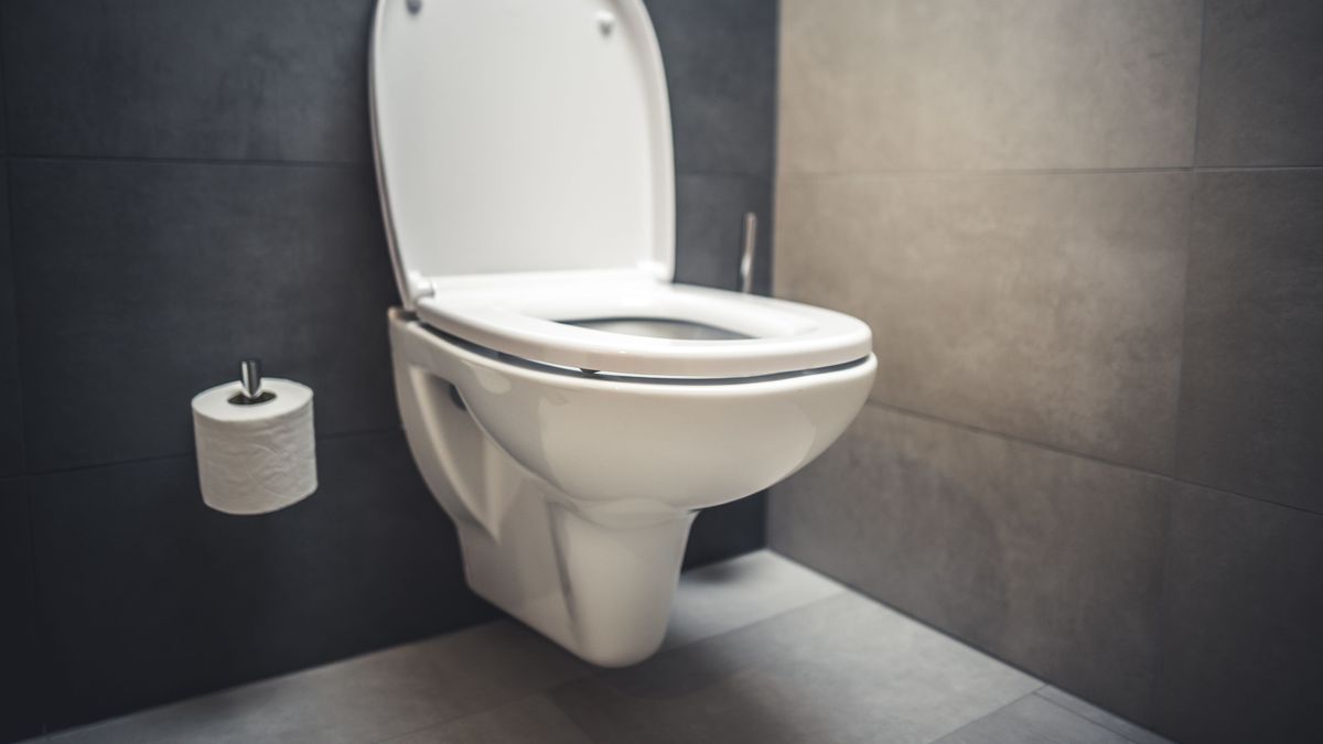 Toilet fixing frame buying guide