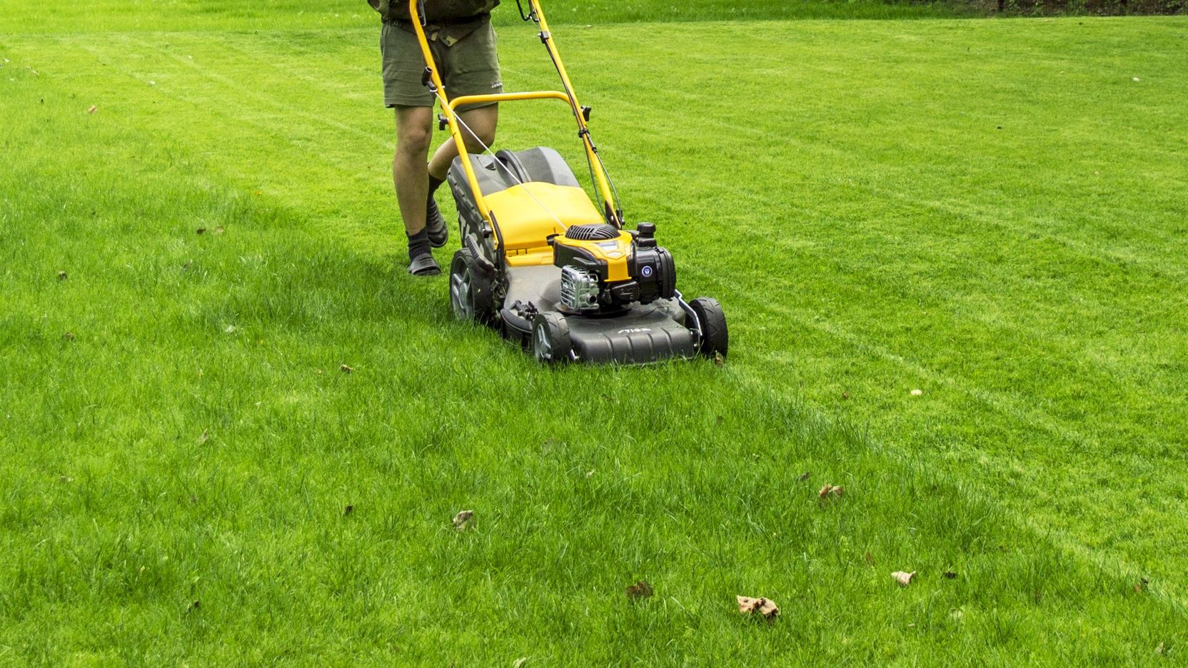 Comment entretenir le gazon