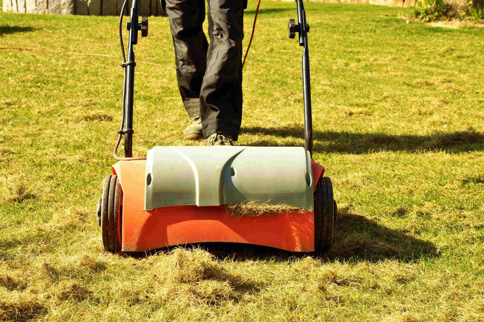 Electric scarifier buying guide