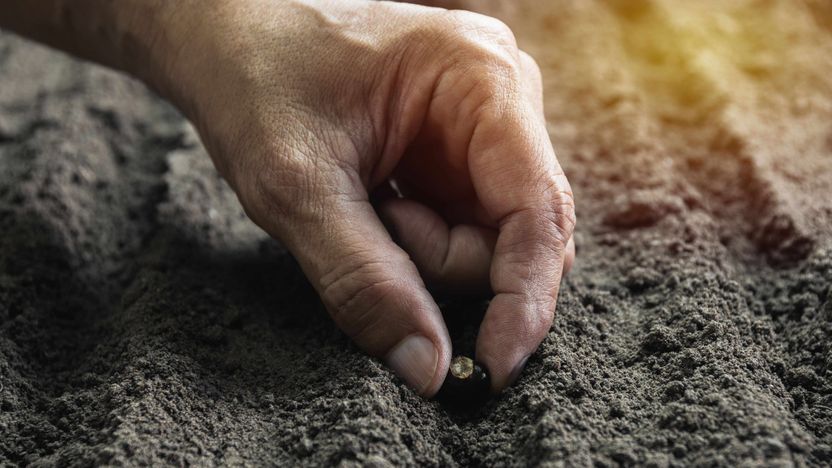 How to prepare your vegetable garden for spring