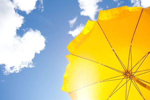 Parasol buying guide