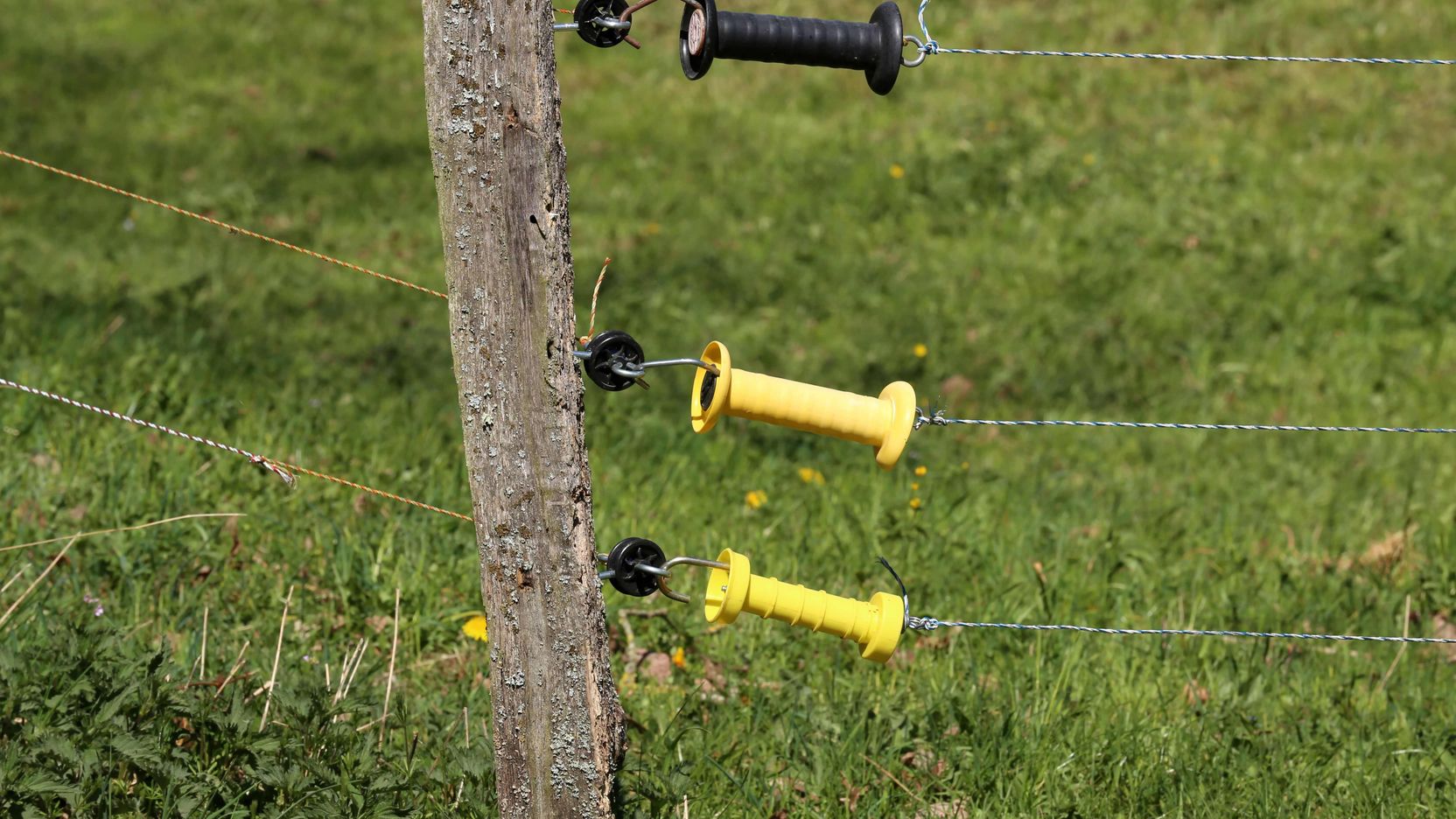 How to install electric fencing