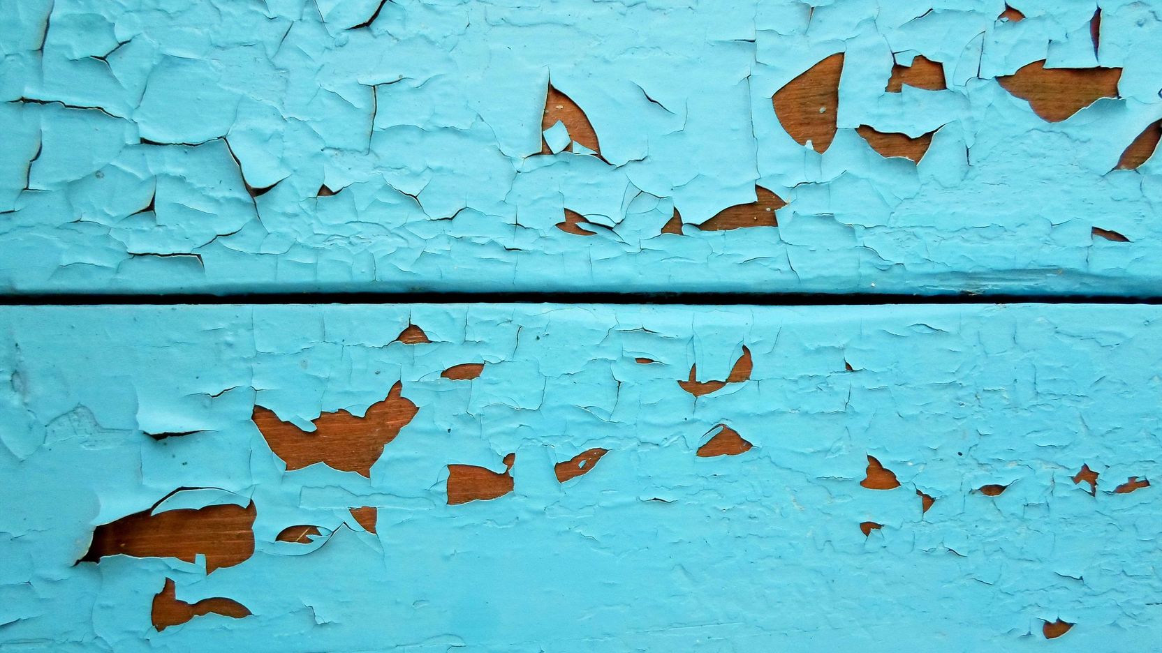 Todo sobre la pintura con plomo