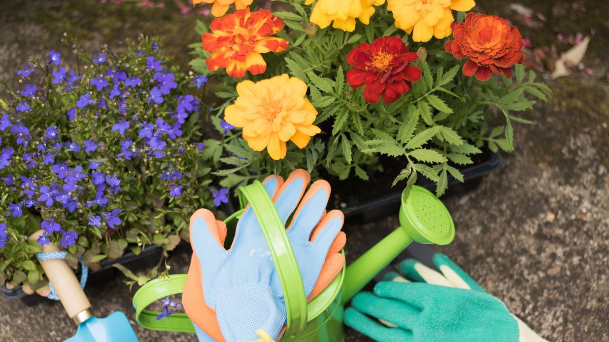 Blumen im April pflanzen: So geht's