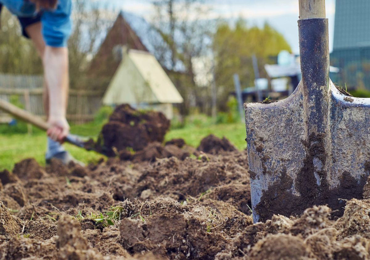 Soil-working tools buying guide