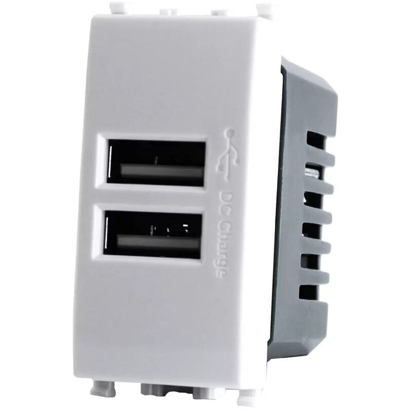 Modulo Presa Doppia Usb Da Muro Per Placca Cassetta 503 Compatibile Con ...