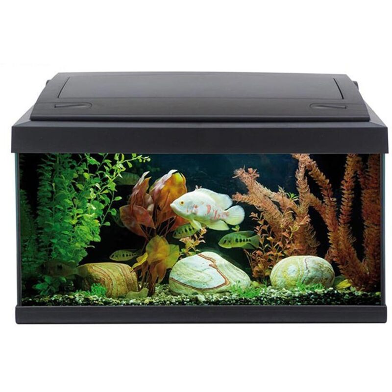 Mtb Milo 30 Cubik Ledline Bianco - Acquario 24L Cm30x29x36h | MTB ...