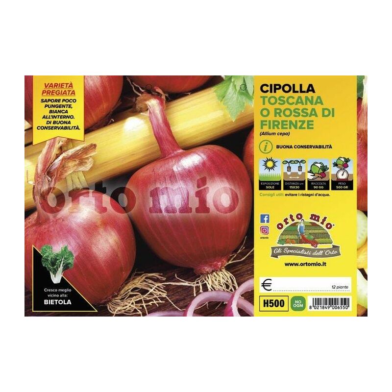 Cipolla Tropeana Rossa Lunga - 12 Piante Orto Mio | ORTO MIO | US