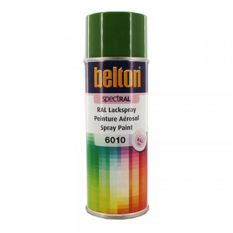Bombe de Peinture RAL Effect 570-6 Satin