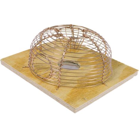 Piege insecte à prix mini