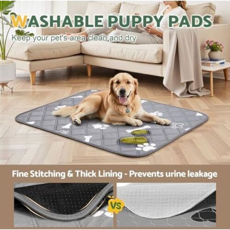Reusable, washable dog training mat, set of 2 (100×70cm), extremely ...
