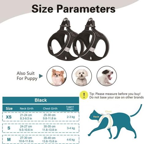 Harnais pour chat anti-fugue réglable avec laisse et collier ...