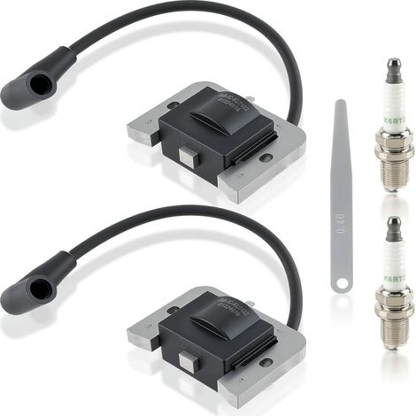 Industrial engine repair kit including high-voltage ignition coil ...