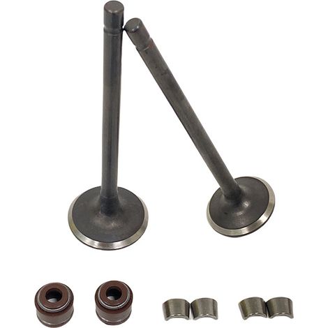 AN125 motorcycle engine cylinder, compatible with Suzuki AN 125 HS125T ...