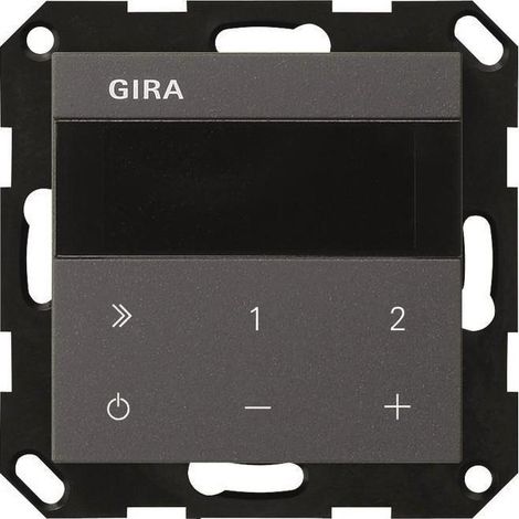 Radio murale Wi-Fi Gira 232028 IP couleur anthracite au son numérique ...
