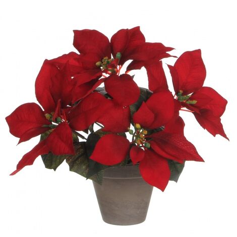 POINSETTIA POT À FLEURS ROUGE Ø 11,5 CM HAUTEUR 27 X D35 CM MICA ...