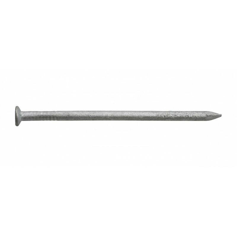 Pointe tête plate galva 2.5 X 60 mm Boite de 1 kg - 9799612575