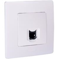 Prise RJ45 complète
