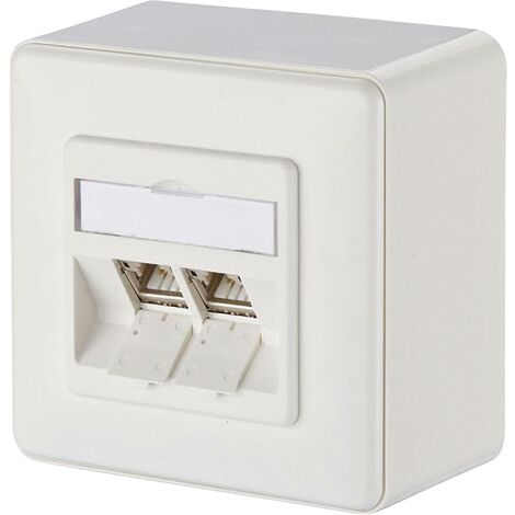 Prise RJ45 complète