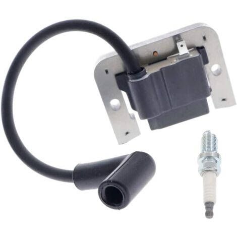 Accessoire pour moteur thermique