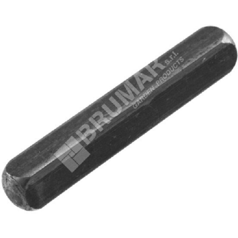 Preisvergleich für Schlüssel für Rasenmäher Daye Daye e DY0701.31 – 027811 | Ladendirekt