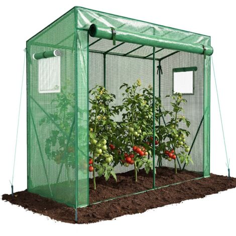 Serre à tomates