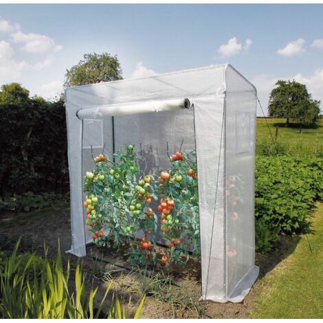 Serre à tomates