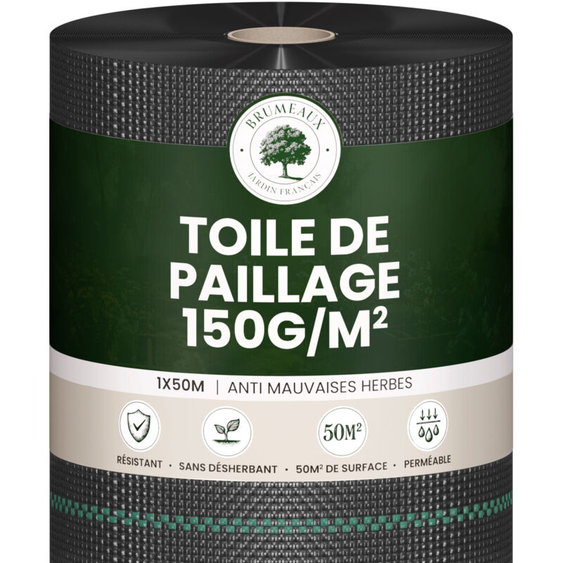 Que faire dans son jardin en hiver ? Activités et conseils pour braver ...